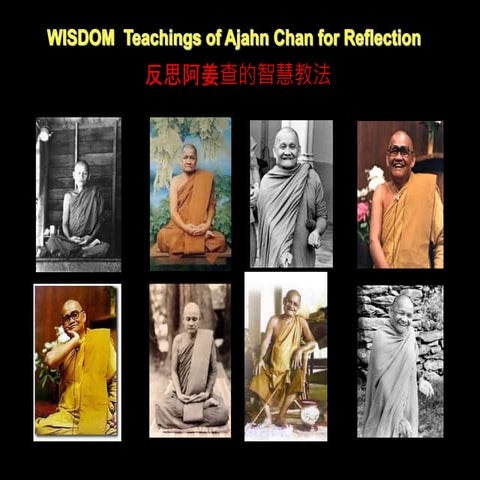 WISDOM Teachings of Ajahn Chah for Reflection (Eng. & Chi.).pptx