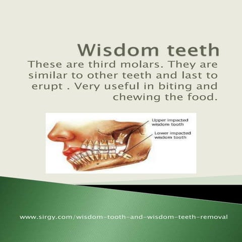 Expert care for Wisdom Teeth extraction Mirdif | PDF