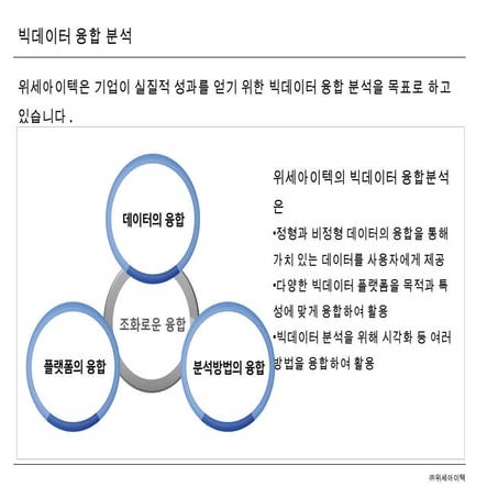 Wise 빅데이터and클라우드 Ppt