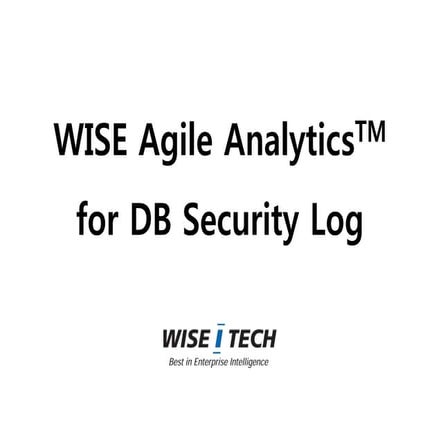 제품소개 Wise agile analytics for db securty log | PPT