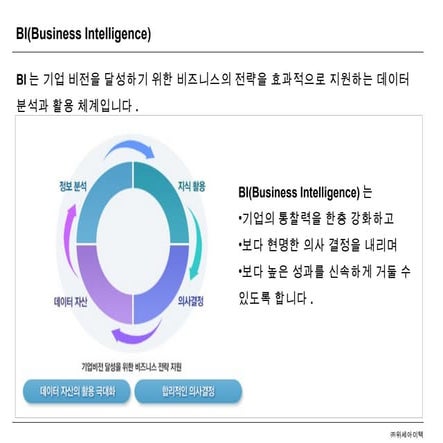 Wise bi 사업소개 | PPT