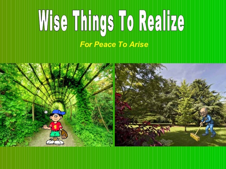 Wise Things to Realize