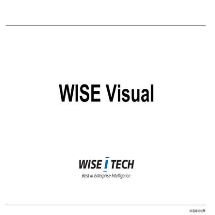제품소개 Wise Visual Ppt