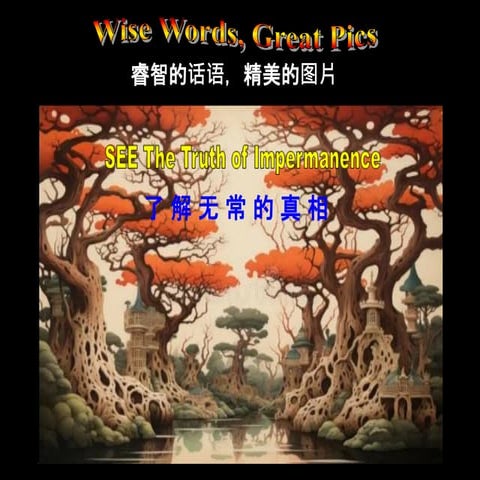 Wise Words, Great Pics (English & Chinese) pdf.pdf