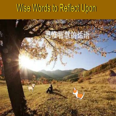 Wise Words to Reflect Upon | PPT