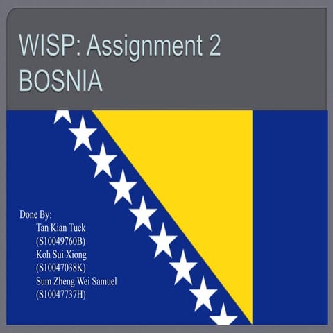 The bosnian war | PPTX