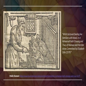 Witch Hunts Propaganda | PDF