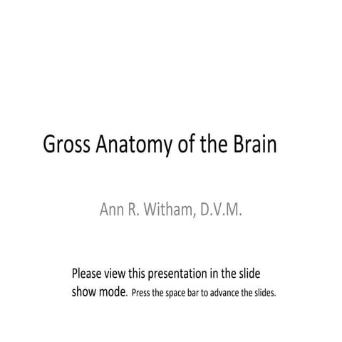 Witham Assmnt2 | PPT