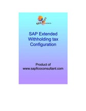 Accounting entries in sap | PDF