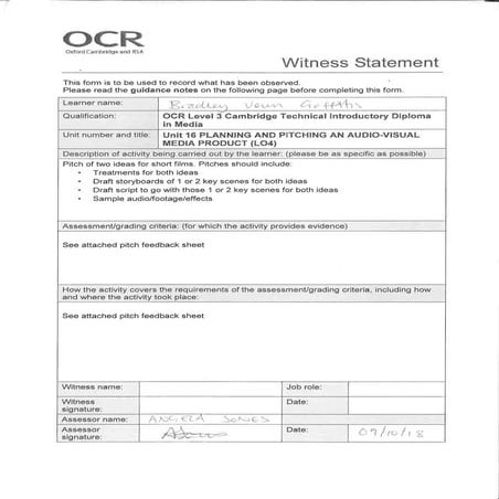 Witness statement | PDF