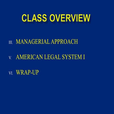 Detailed_Court_System_and_Procedures.pptx