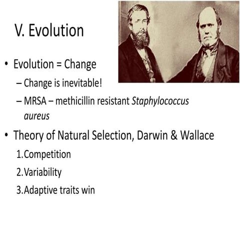 Glossary Patterns Of Evolution Colour Ans | DOC