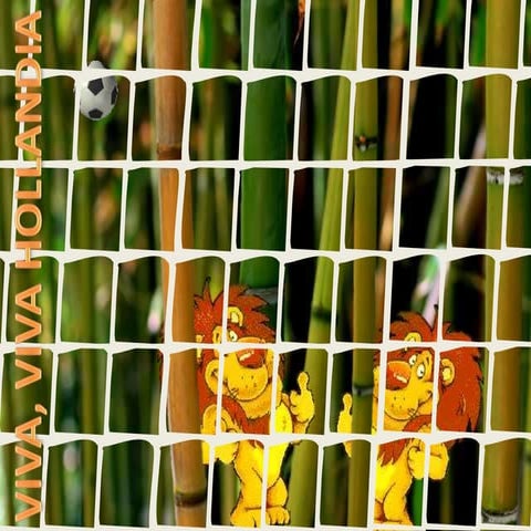 Wk 2010 the final(original) | PPTX | Sports