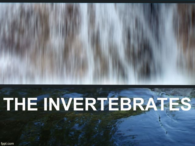 Grade 6 PPT_Science_Q2_W6_Invertebrates.pptx