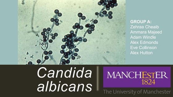 Candidiasis | PPTX