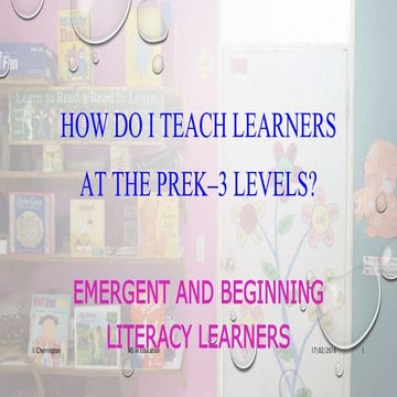 Meeting The Literacy Needs Of Emergent Learners Pptx