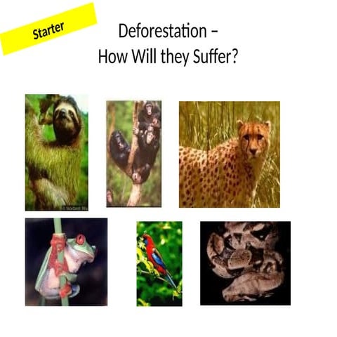 Wk9 - Explain the need to protect and conserve tropical rainforests.pptx