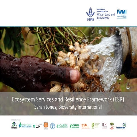 Ecosystem Services and Resilience Framework (ESR) | PDF