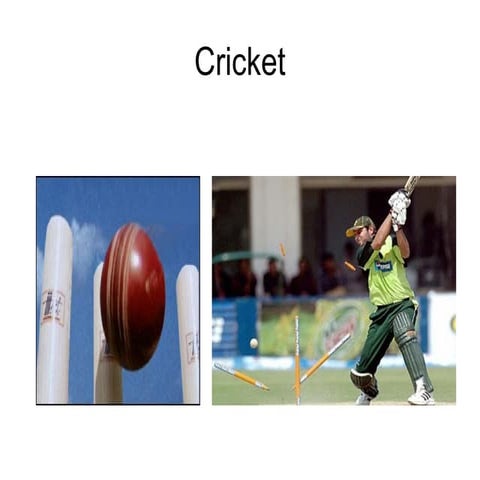 cricket ppt | PPTX