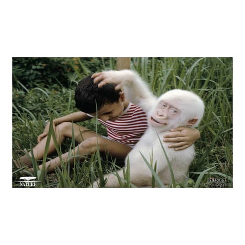 W monkey pdf | PDF