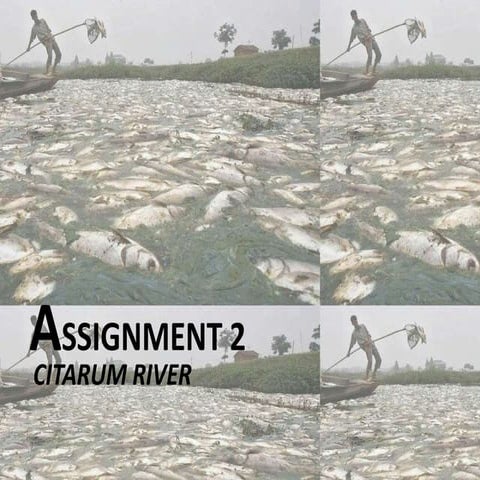 Citarum River Presentation | PPTX