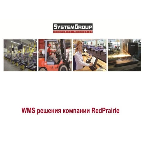 WMS решения компании Red Prairie | PPT