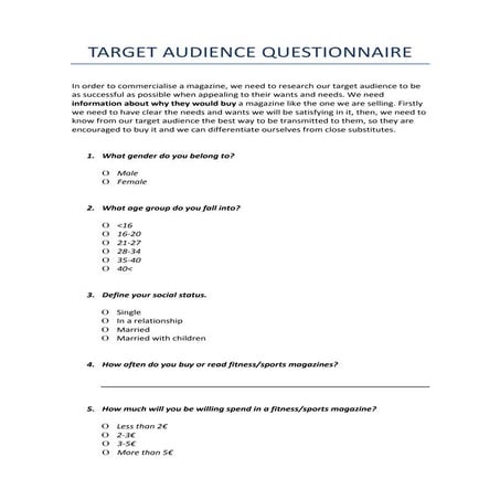 Target Audience Questionnaire | PDF