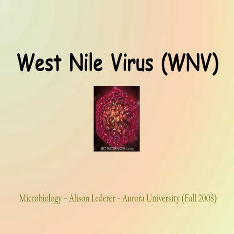 West Nile Virus | PPTX