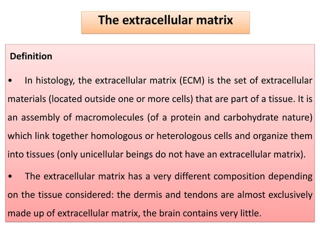 EXTRACELLULAR MATRIX AND ITS COMPONENTS | PPTX