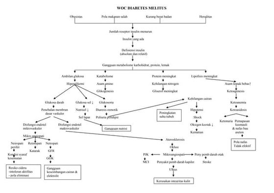 Woc diabetes-melitus | DOC