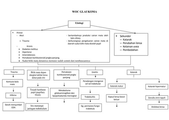 WOC penyakit mata Glaukoma | PPT