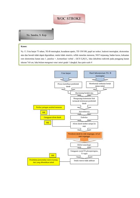 Woc stroke hemoragik | PDF