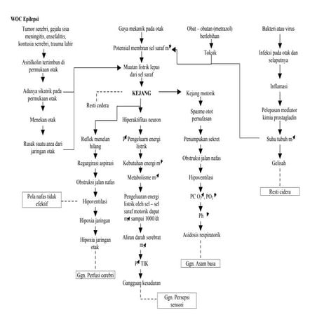 WOC_Epilepsi.pdf