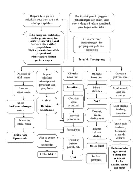 487171861-Clinical-Pathway-Kista-Ovarium.docx