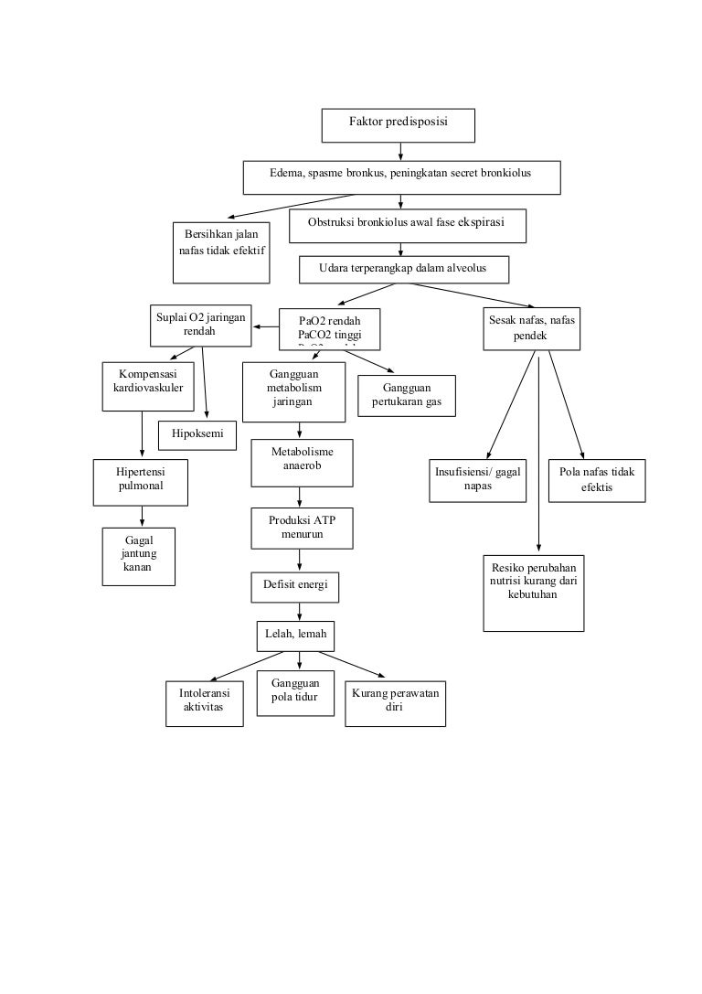 Woc stroke hemoragik