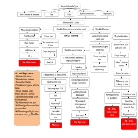 WOC demam TYPHOID pada anak anak dan dewasa | DOCX