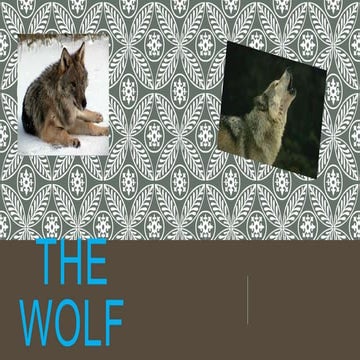 WOLF | PPTX