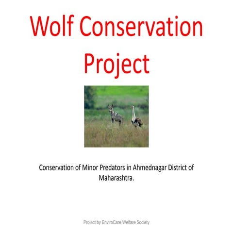 Wolf conservation project | PPTX