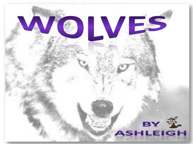 True facts about wolf conservation | DOCX