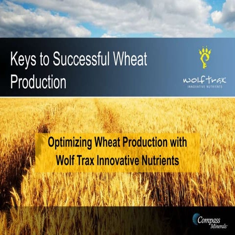 Keys to Successful Wheat Production | PPTX
