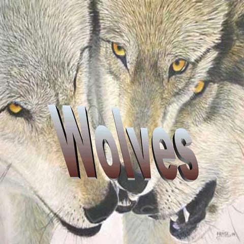 Wolves | PPT