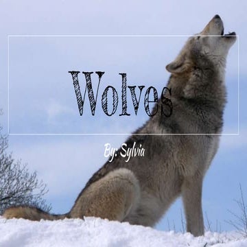 Wolves | PPT