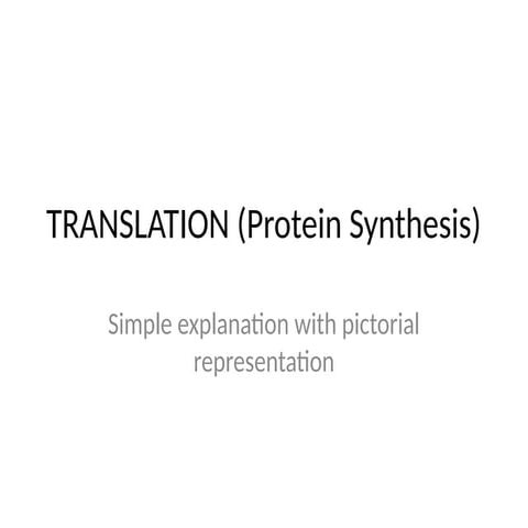 Wonderful_PPT_Translation_Protein_Synthesis.pptx