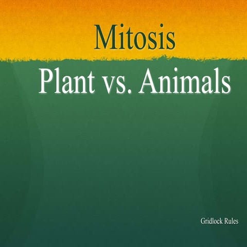 Wong. LP 6 Animal vs. Plant MItosis | PPTX