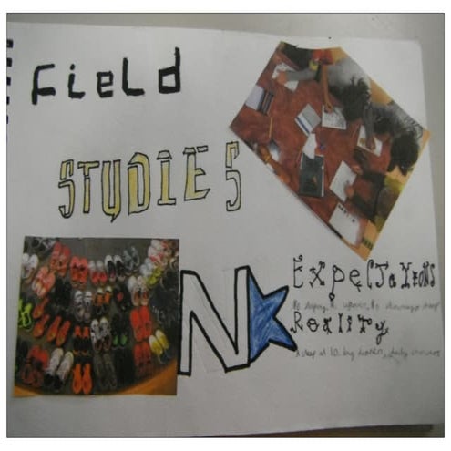 Field Studies Visual Journal | PPT