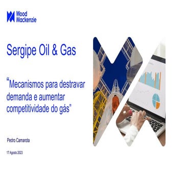 Wood-Mackenzie-Mecanismo-para-destravar-o-mercado-consumidor-e-melhorar ...