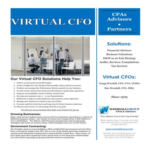 Woodall Group - Virtual CFO Flyer | PDF