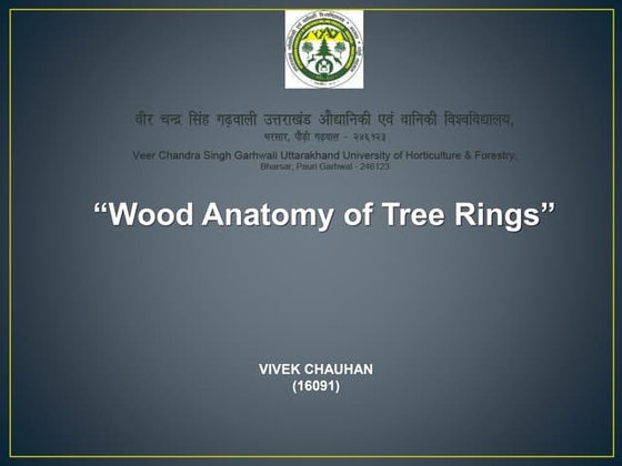 Contour maps: preparation and understanding. | PPTX