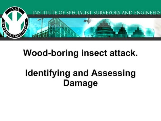 Peter Cox - Insectasure Woodworm Treatment | PDF