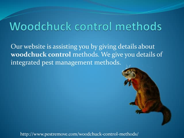 White fly control methods | PPTX
